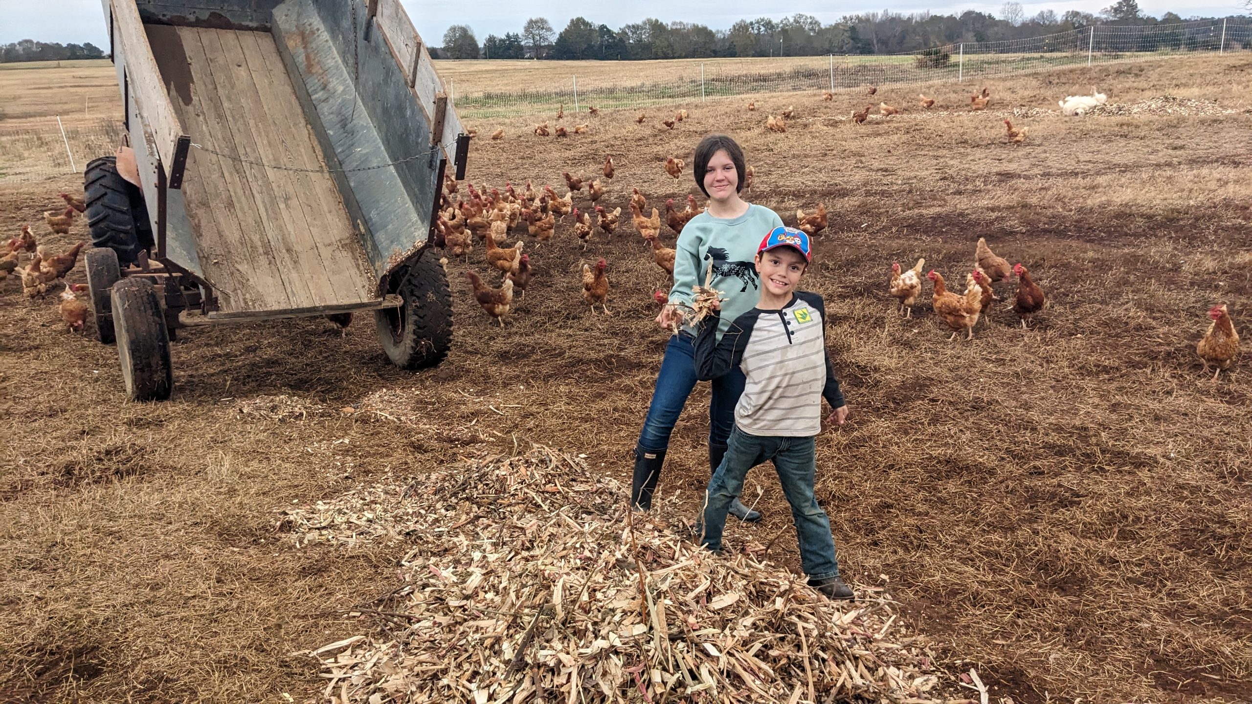Pasture Posts #161 – Watson Farms